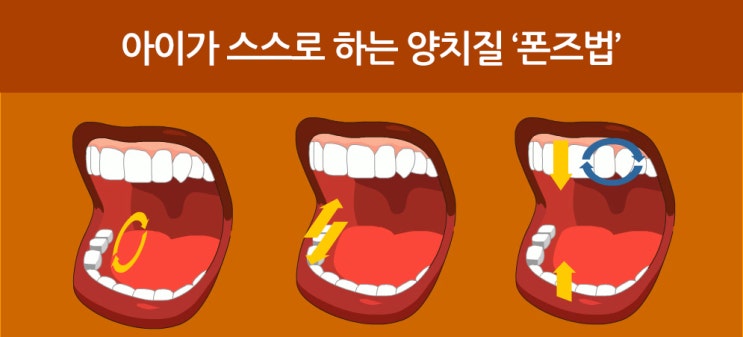 충남 계룡치과 올바른 잇솔질로 튼튼한 치아를 유지하세요두번째 이야기 네이버 블로그