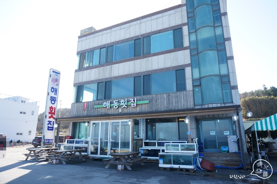 해동횟집 강릉 지역 추천맛집 해동횟집 후기