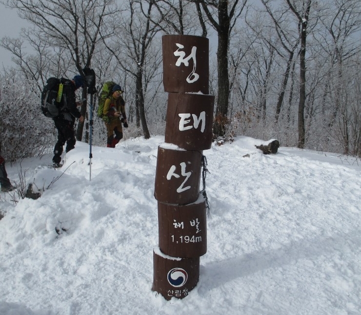 횡성 청태산 등산지도 등산코스 청태산 자연휴양림을 품고 있는 청태산 산행 네이버 블로그