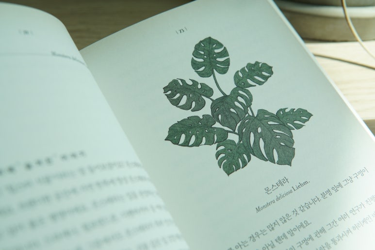 식물의 책 식물세밀화 그리는 이소영의 도시식물 이야기 네이버 블로그