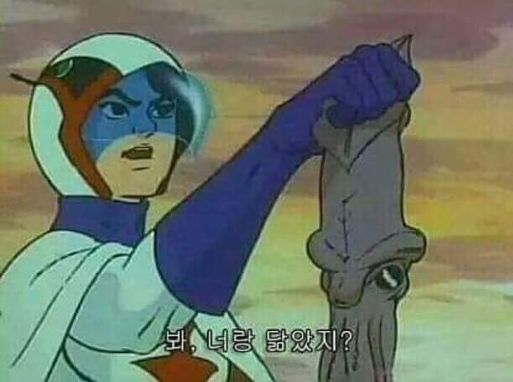 짤 모음 - 웃긴 짤 모음/귀여운 짤 모음/카톡 짤 모음/짤방 모음/움짤 모음 : 네이버 블로그