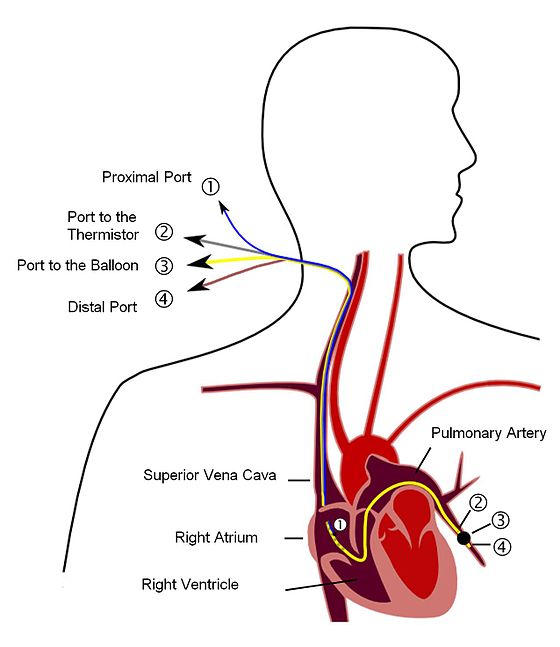 Physical assessment 2-2편 : 네이버 블로그