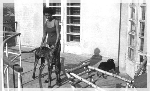 [097] [인물07] 크라쿠프의 도살자, 아몬 괴트(Amon Göth) : 네이버 블로그